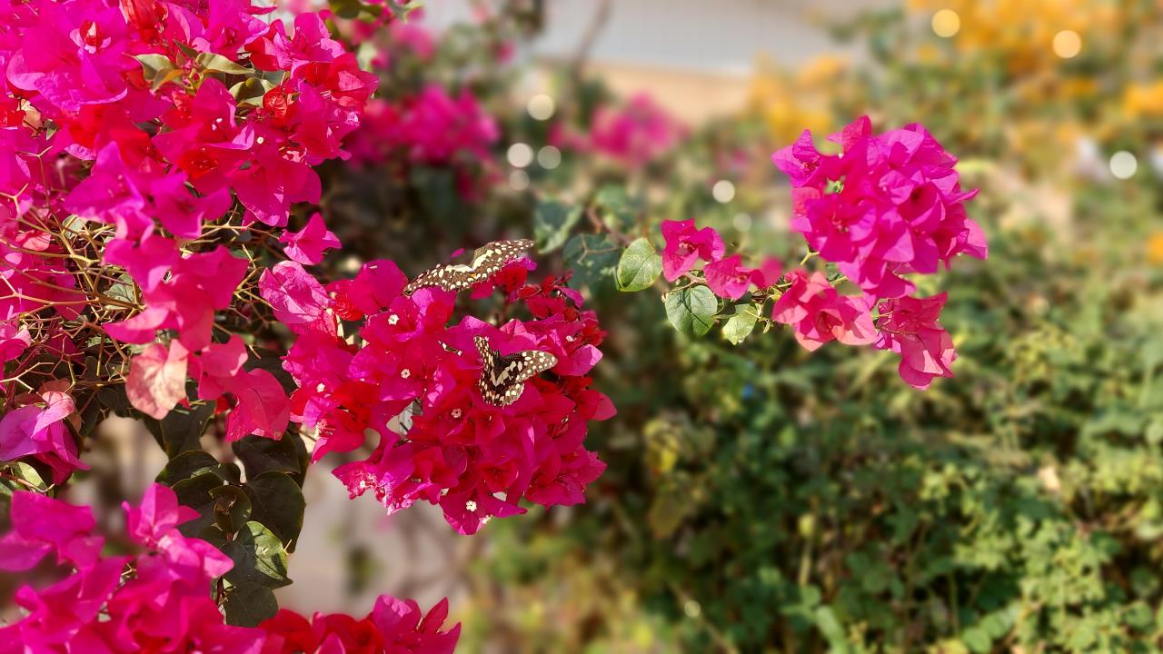 ظلم به خود از دیدگاه قرآن راز زندگی