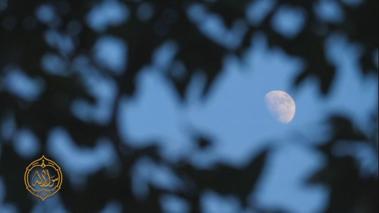 کلیپ اهمیت حفظ نسل پیامبر اکرم کاربر 3955