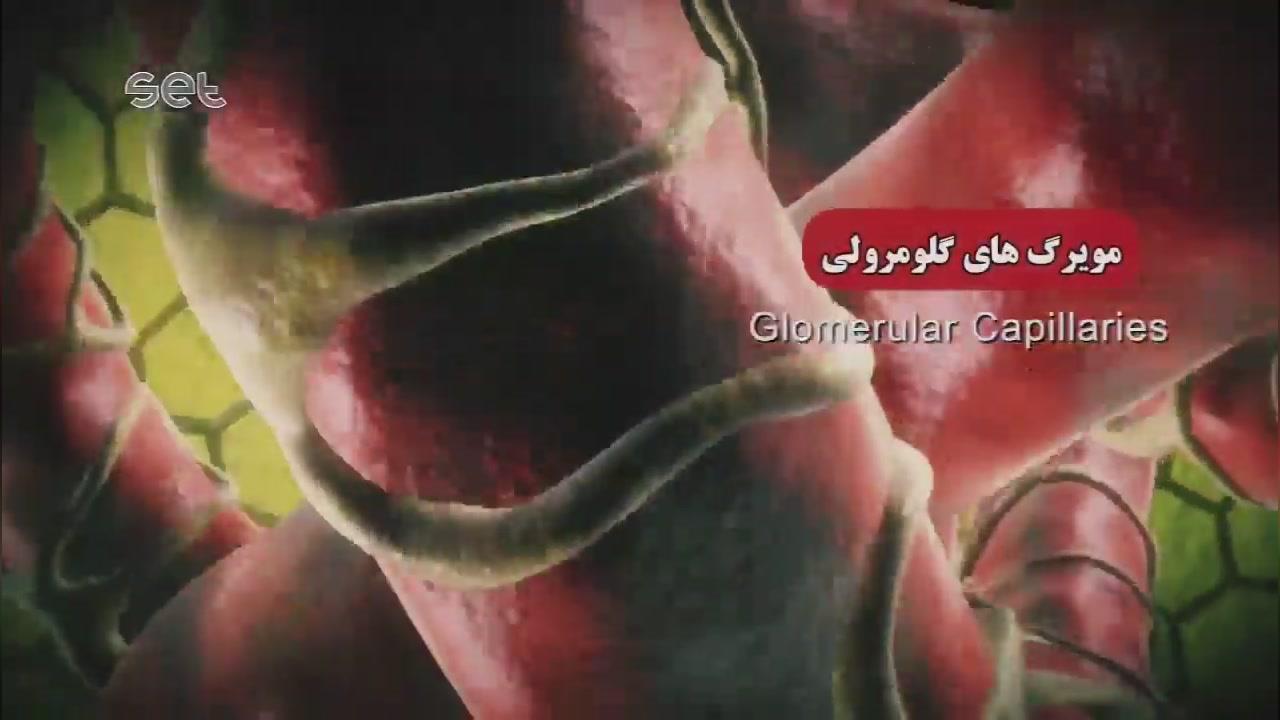 انیمیشن کپسول بومن آنتن فیلم انیمیشن کلیپ موسیقی سرگرمی